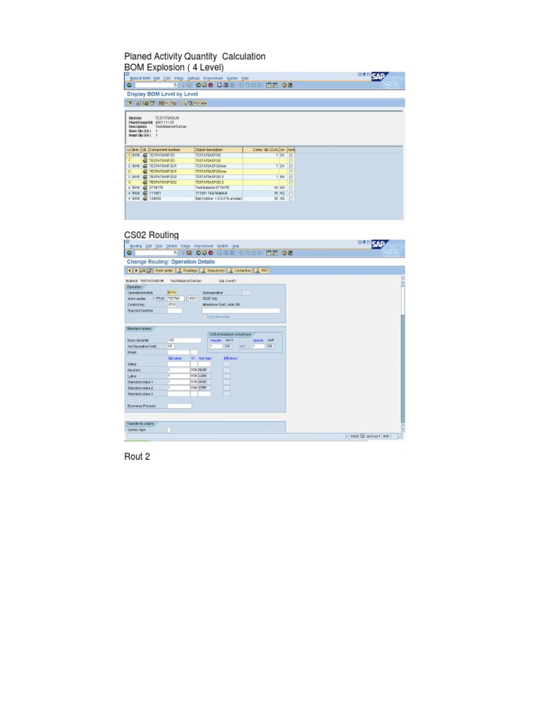 Planed Activity Quantity Calculation Using BOM Explosion and Routings ...