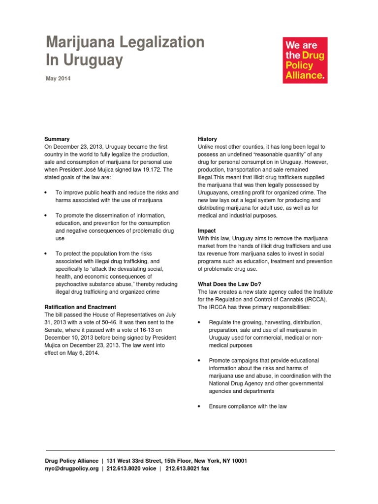 Fact Sheet Marijuana Legalization in Uruguay | PDF | Cannabis (Drug ...