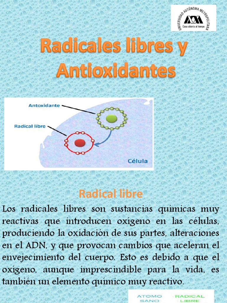 Radicales Libres | PDF | Radical (Química) | Antioxidante