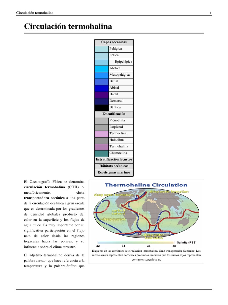 Circulación Termohalina | PDF | Ecologia Acuatica | Hidrografía