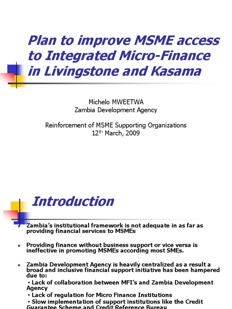 SME Action Plan (Michelo) | Microfinance | Credit (Finance)