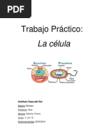 Historia de la Teoría Celular | PDF | Citoplasma | Biología Celular)