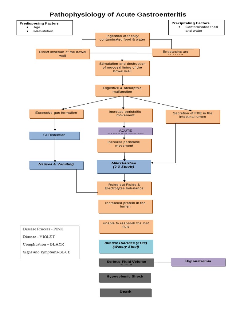 Acute Gastroenteritis Pathophysiology | PDF | Wellness | Science ...