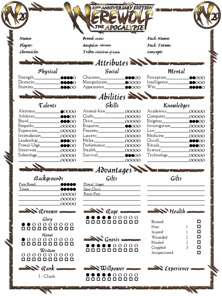 W20 - Character Sheet | PDF | Gaming | Role Playing Games