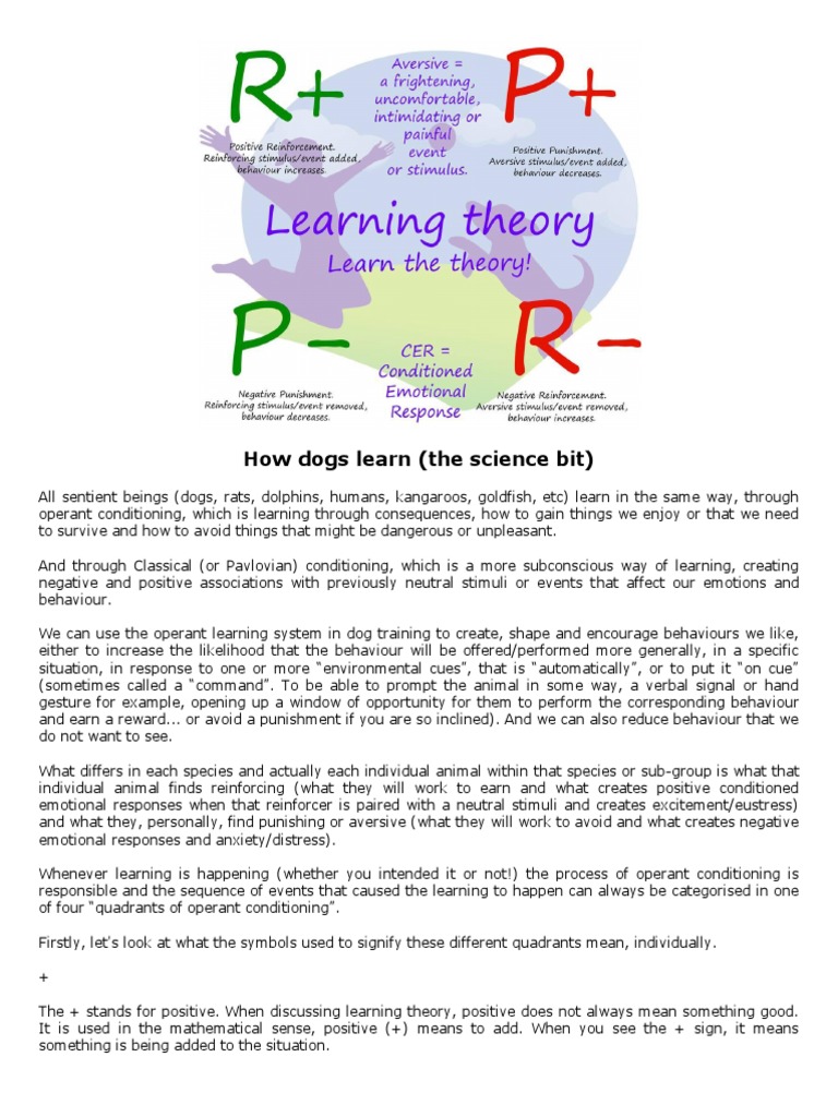 How Dogs Learn | PDF | Reinforcement | Classical Conditioning