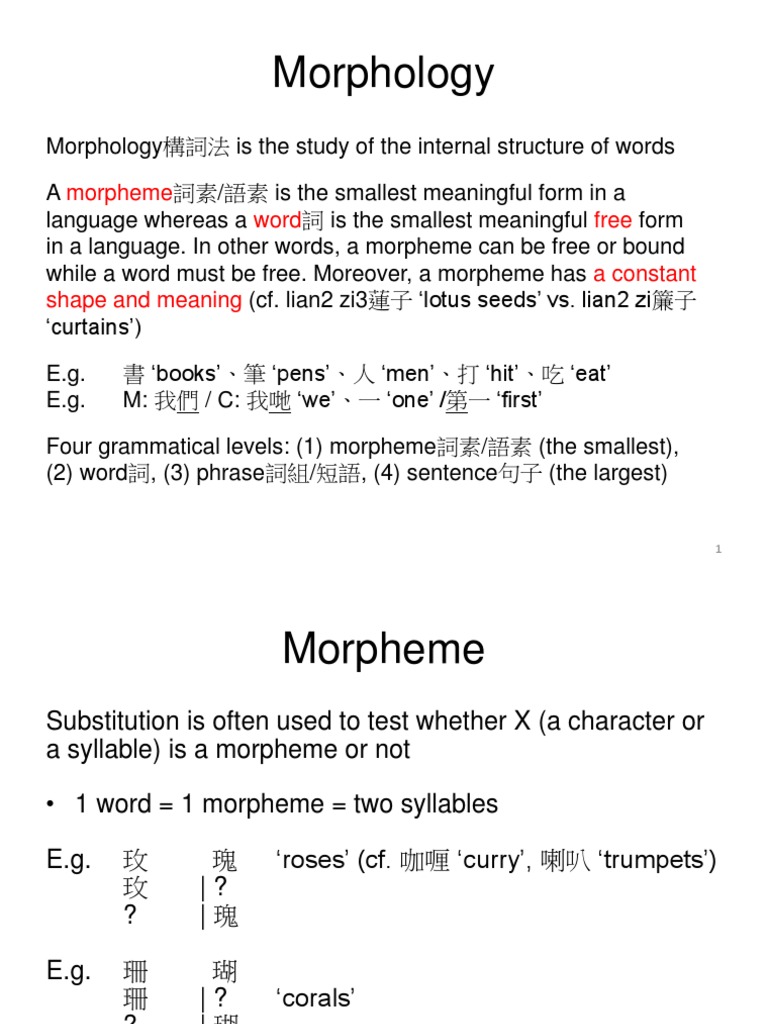Chinese Morphology 6 | PDF