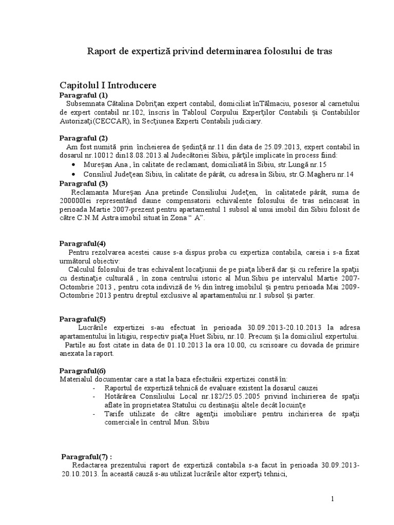 Model Raport Expertiza Contabila Judiciara | PDF