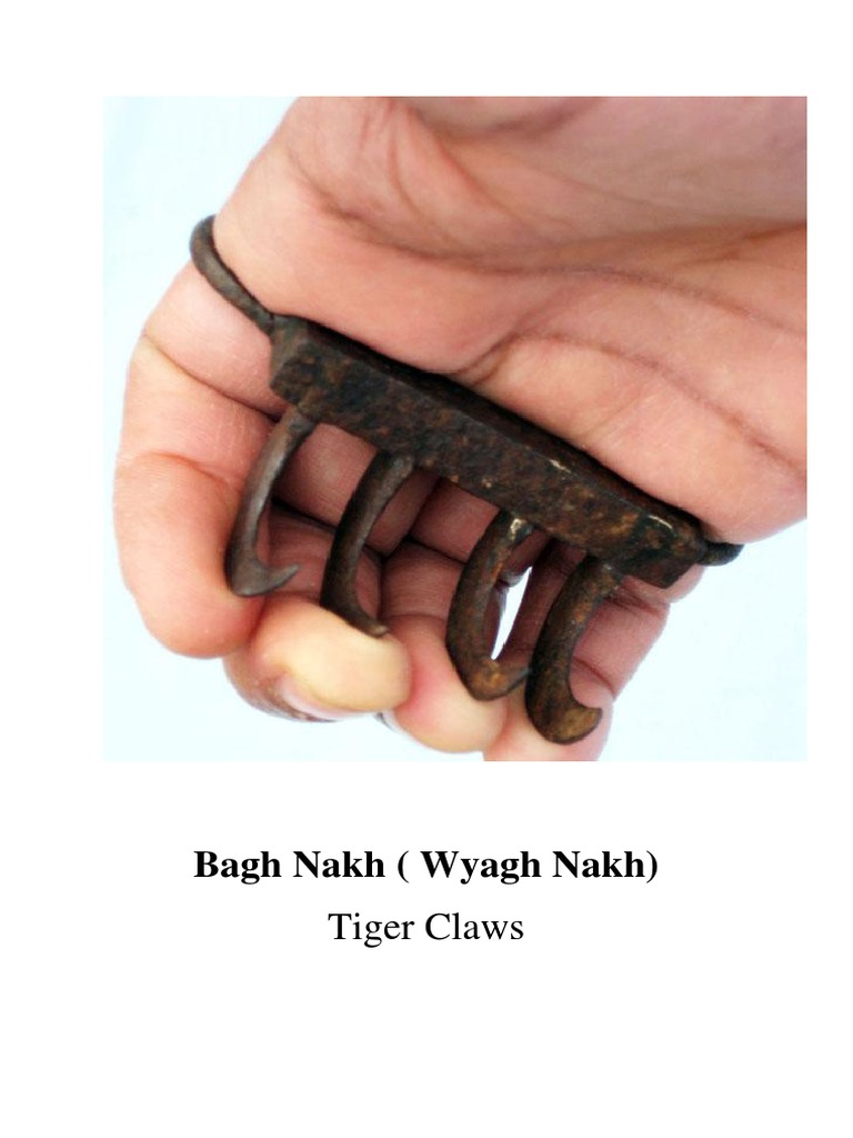 Bagh Nagh - The Indian Tiger Claw | Weaponry | Armed Conflict