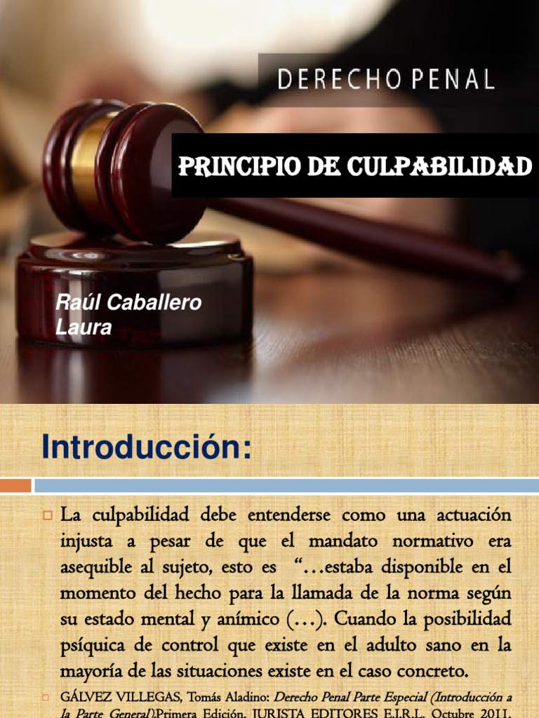 Principio de Culpabilidad. | PDF | Derecho penal | Ley común