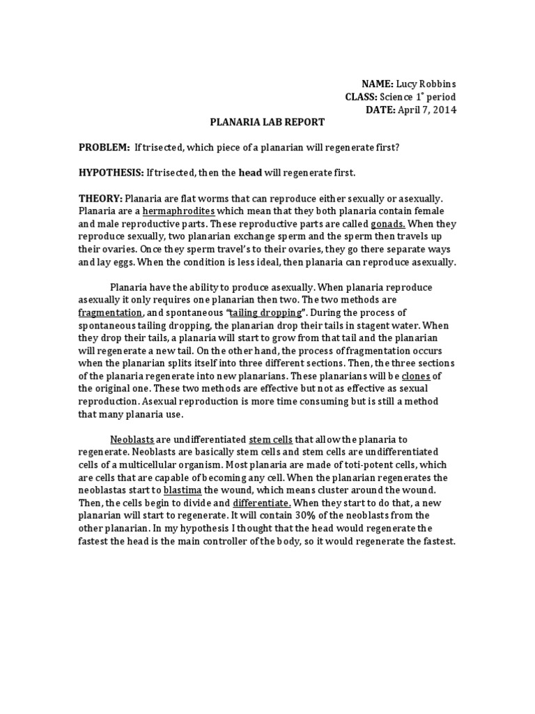 Planaria Lab Report | PDF | Reproduction | Regeneration (Biology)