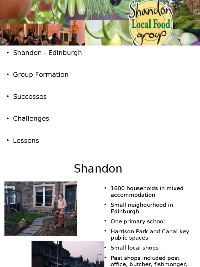 Shandon - Edinburgh Group Formation Successes Challenges Lessons | PDF