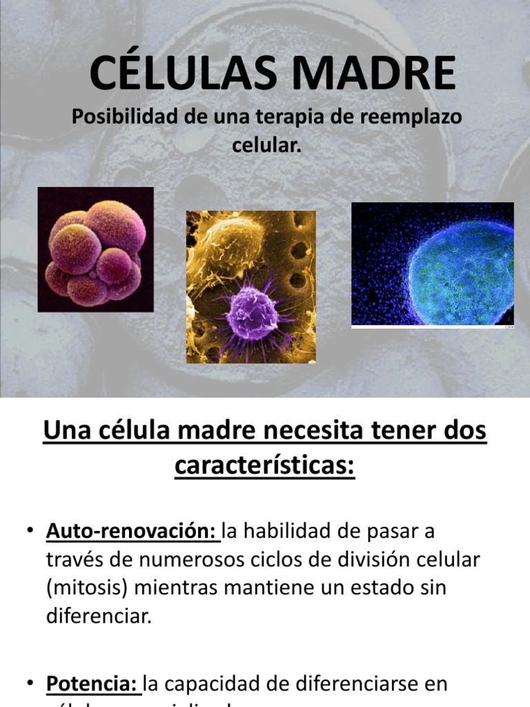celulas madres.ppt | Célula madre | Ciencias de la tierra y de la vida