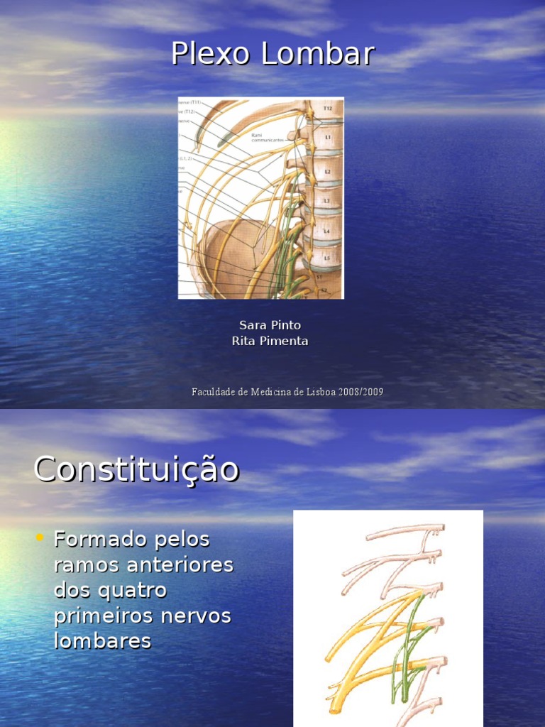 Plexo Lombar - Anatomia | PDF | Nervo | Medula espinhal