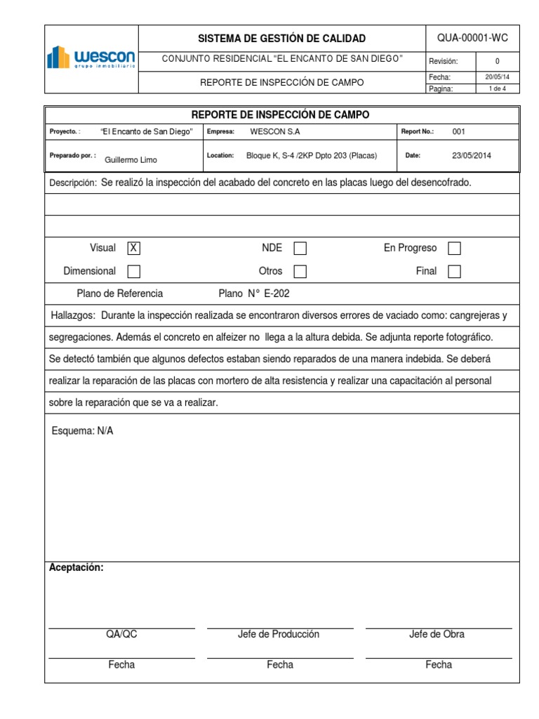 Reporte de Inspección de Campo. 001 | PDF
