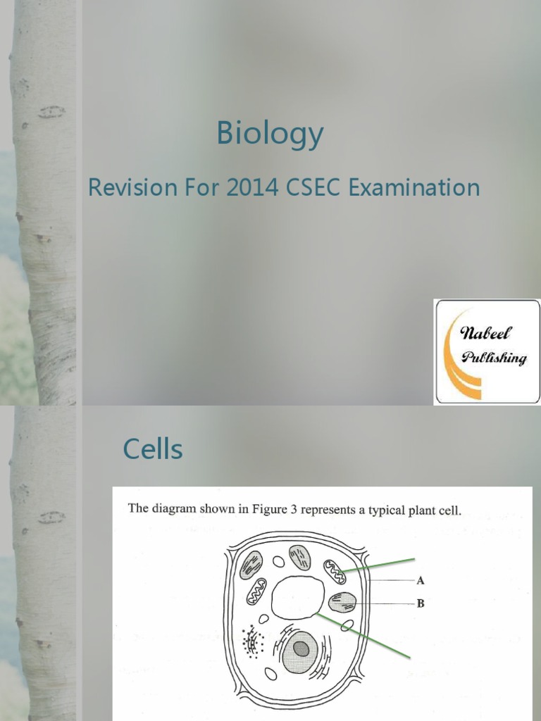 CSEC Biology 2014 Revision | PDF | Respiratory System | Excretion