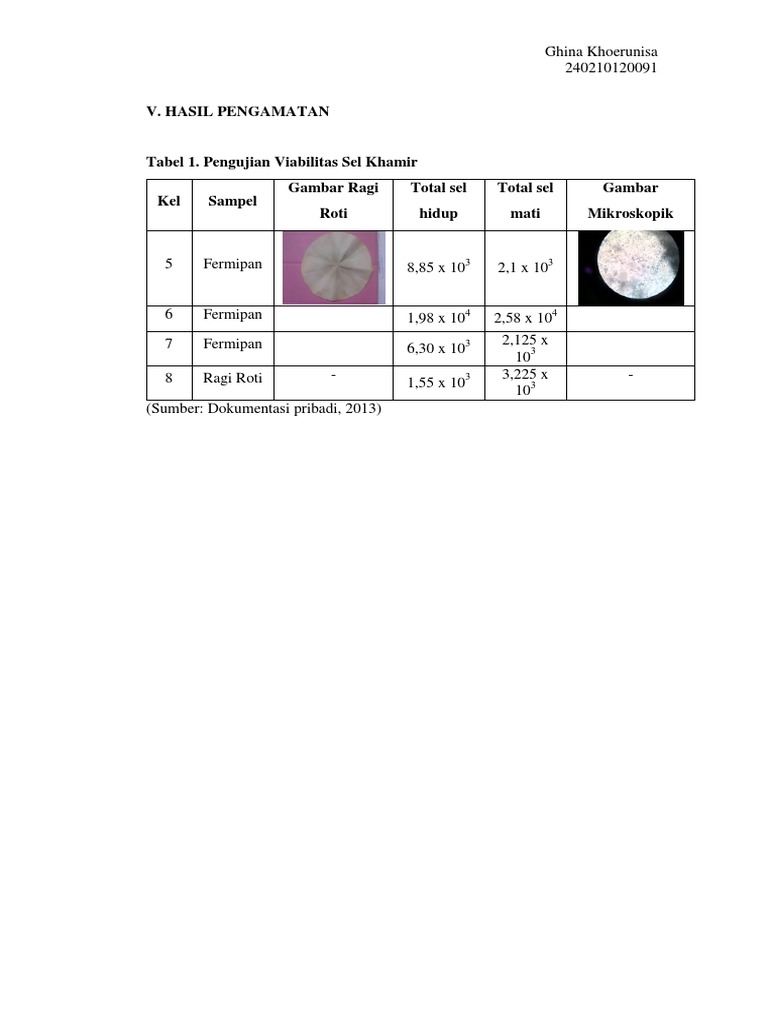 ANALISIS VIABILITAS SEL KHAMIR DALAM PEMBUATAN RAGI ROTI | PDF