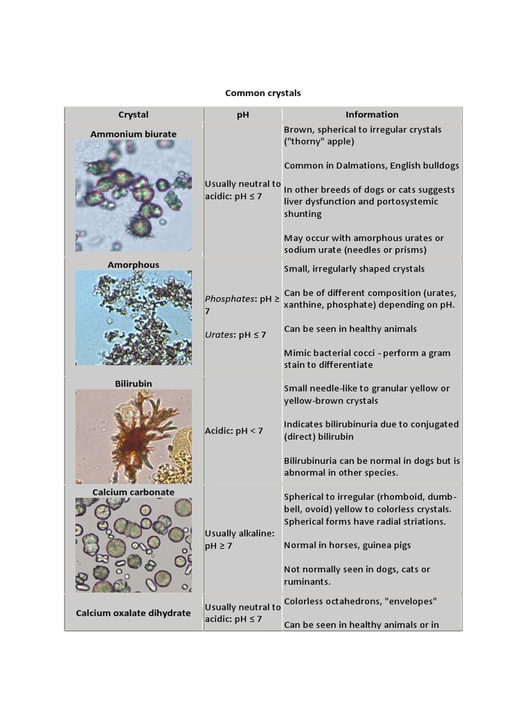 Kristal Pada Urine | Chemical Compounds | Chemical Substances