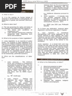 The Labor Code With Comments and Cases Vol 1. (Azucena JR., 2013) | PDF