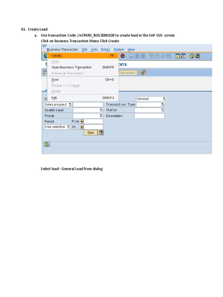 SAP Lead Management Workflow Guide | PDF