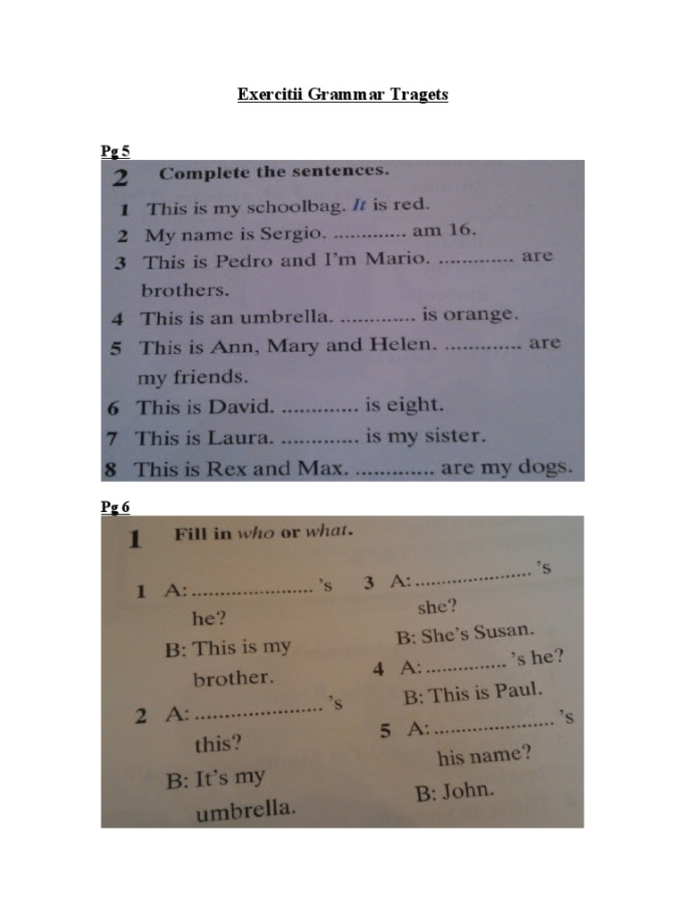 Grammar Exercises Overview and Pages | PDF