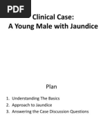 BFM 2000 Treatment Schema | PDF | Hematopoietic Stem Cell ...