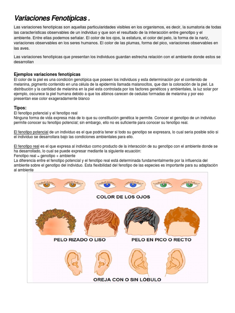 Tipos de variaciones _ variacion lineal y exponencial ejercicios – ICDK