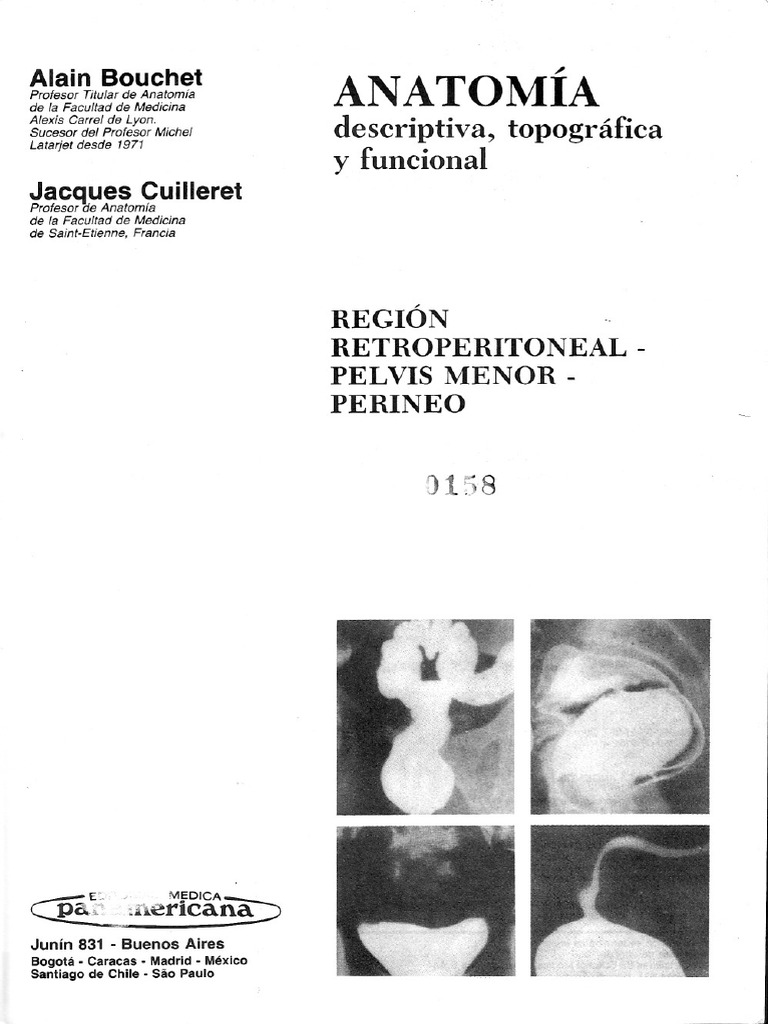 Anatomía del Espacio Retroperitoneal | PDF | Abdomen | Pelvis