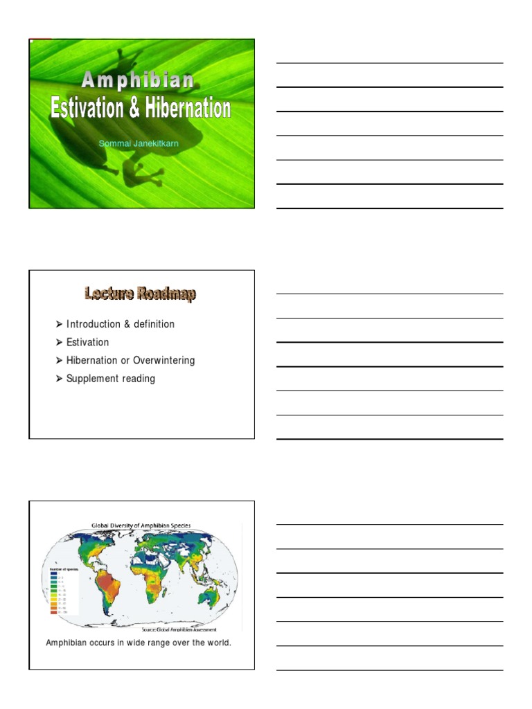 Hibernation Estivation | PDF | Frog | Amphibian