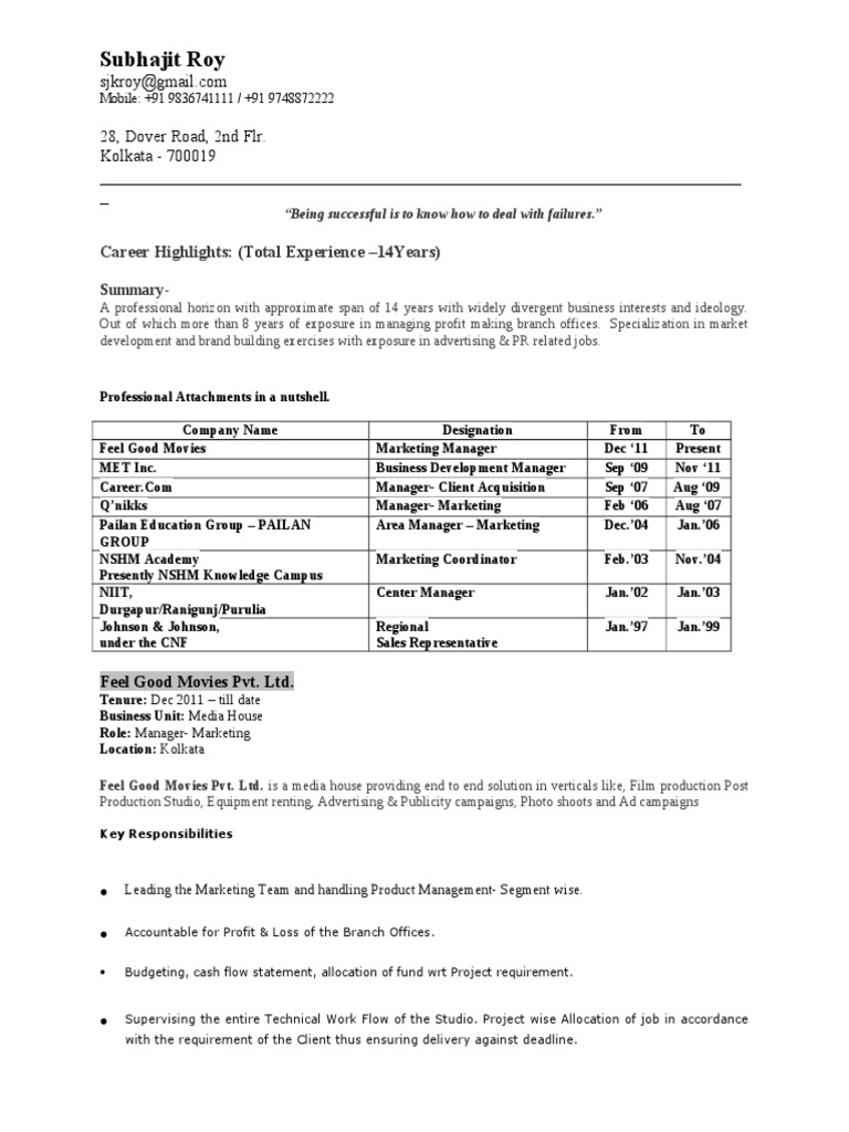 Subhajit Roy: 14-Year Marketing Career Overview | PDF | Advertising | Sales