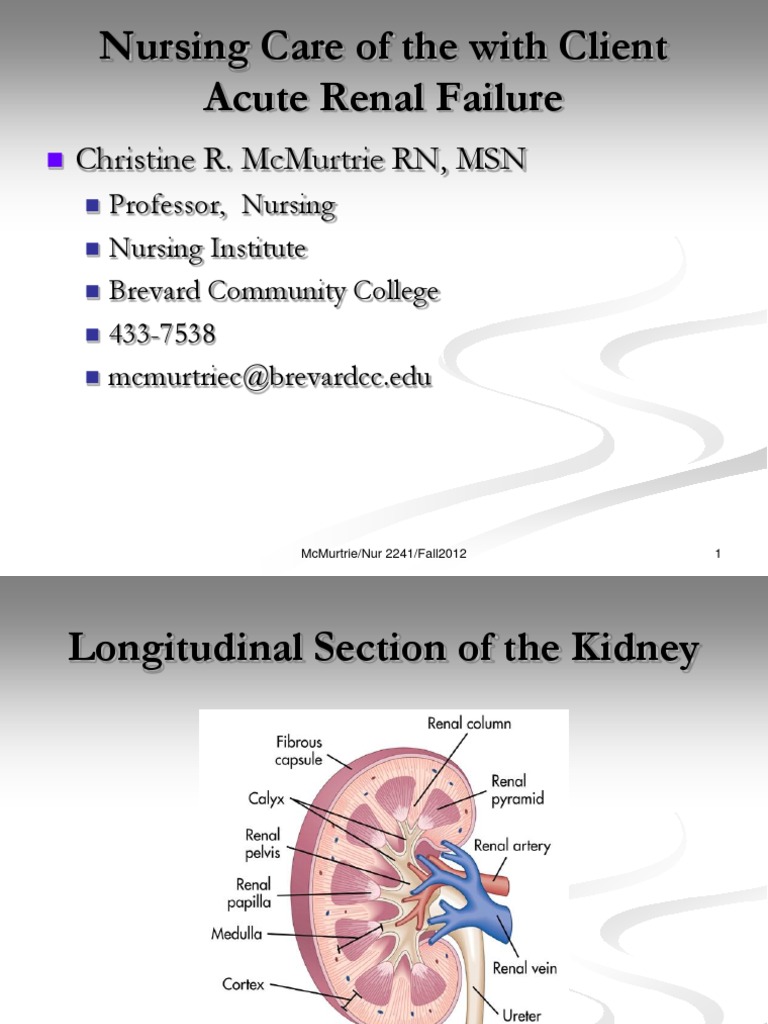 Nursing Care for Acute Renal Failure | PDF | Kidney | Renal Function