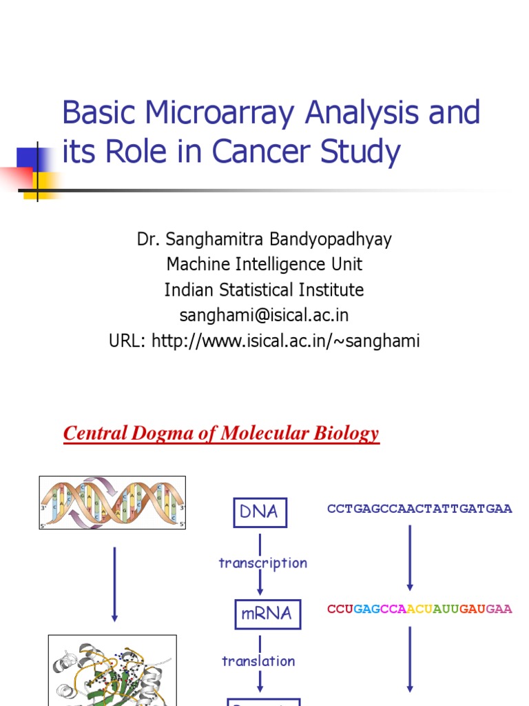 Microarray Full Pdf Dna Microarray Cluster Analysis