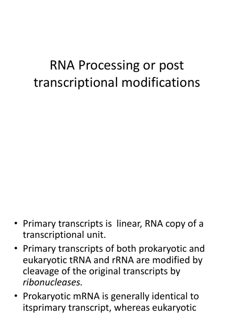RNA Processing or Post Transcriptional Modifications. | PDF | Rna ...