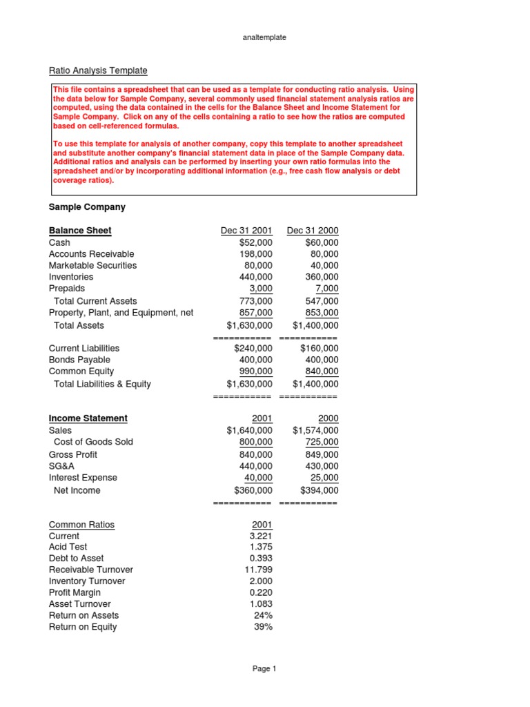 Sample Company Balance Sheet: Analtemplate | PDF