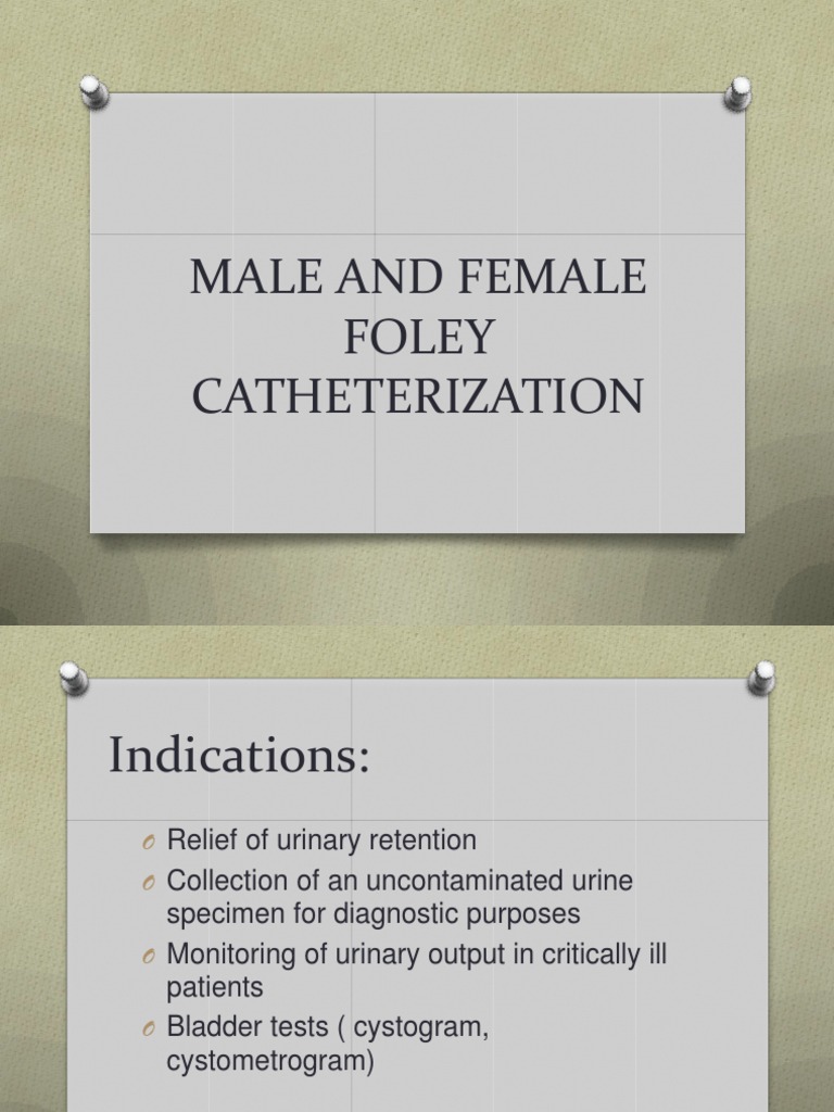 Male and Female Bladder Catheterization | PDF | Catheter | Urology
