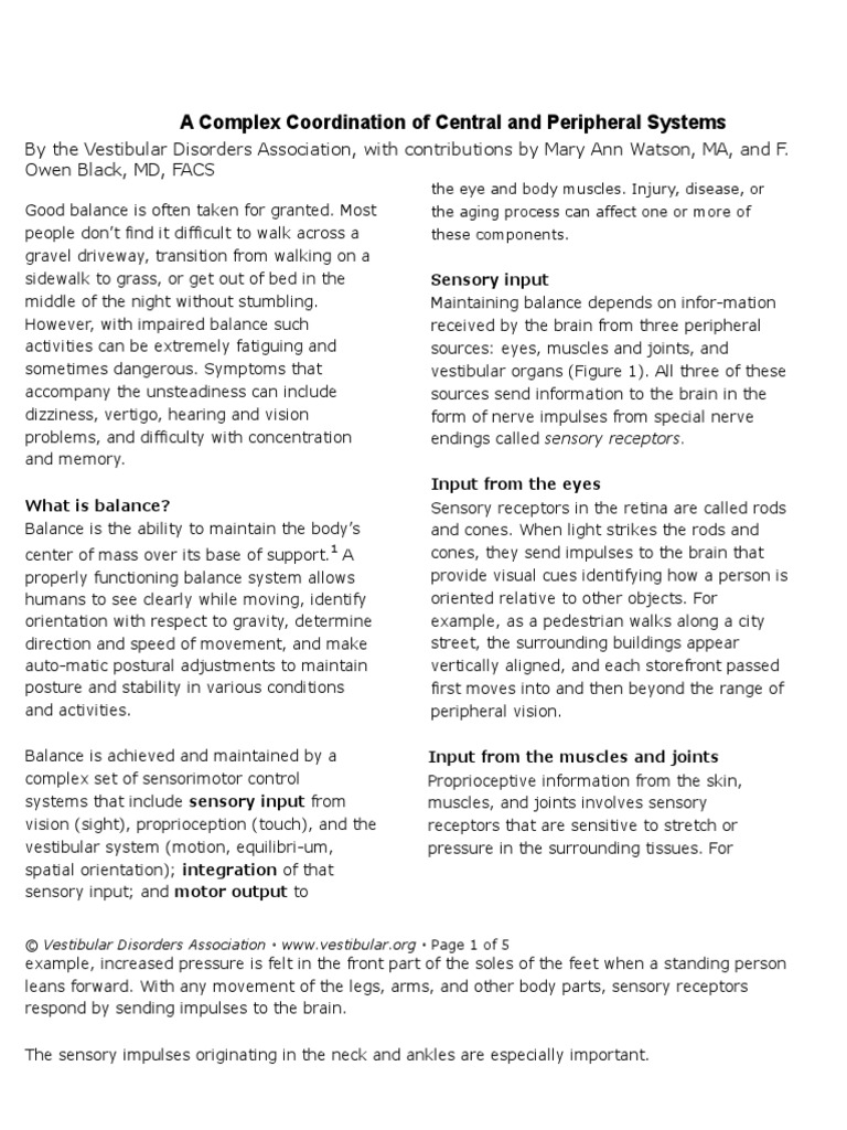 Human Balance System ENG. | PDF | Vestibular System | Animal Anatomy