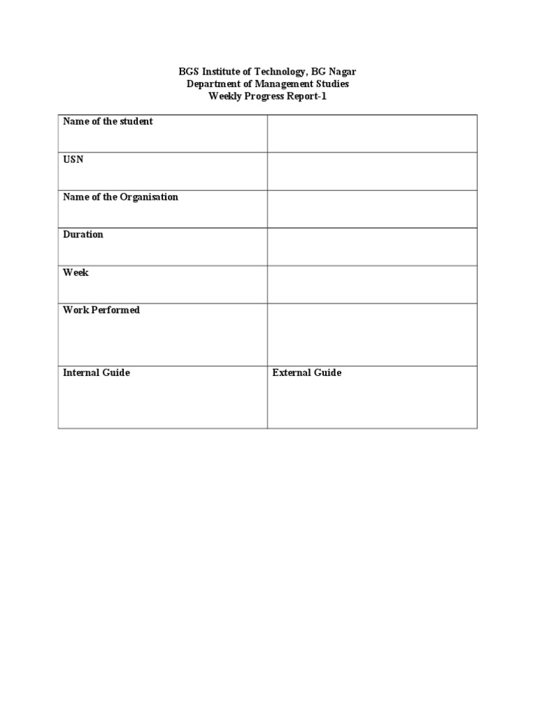 Student Internship Progress Report | PDF