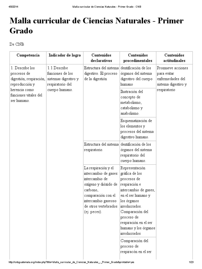 Malla Curricular de Ciencias Naturales - Primer Grado - CNB | PDF ...