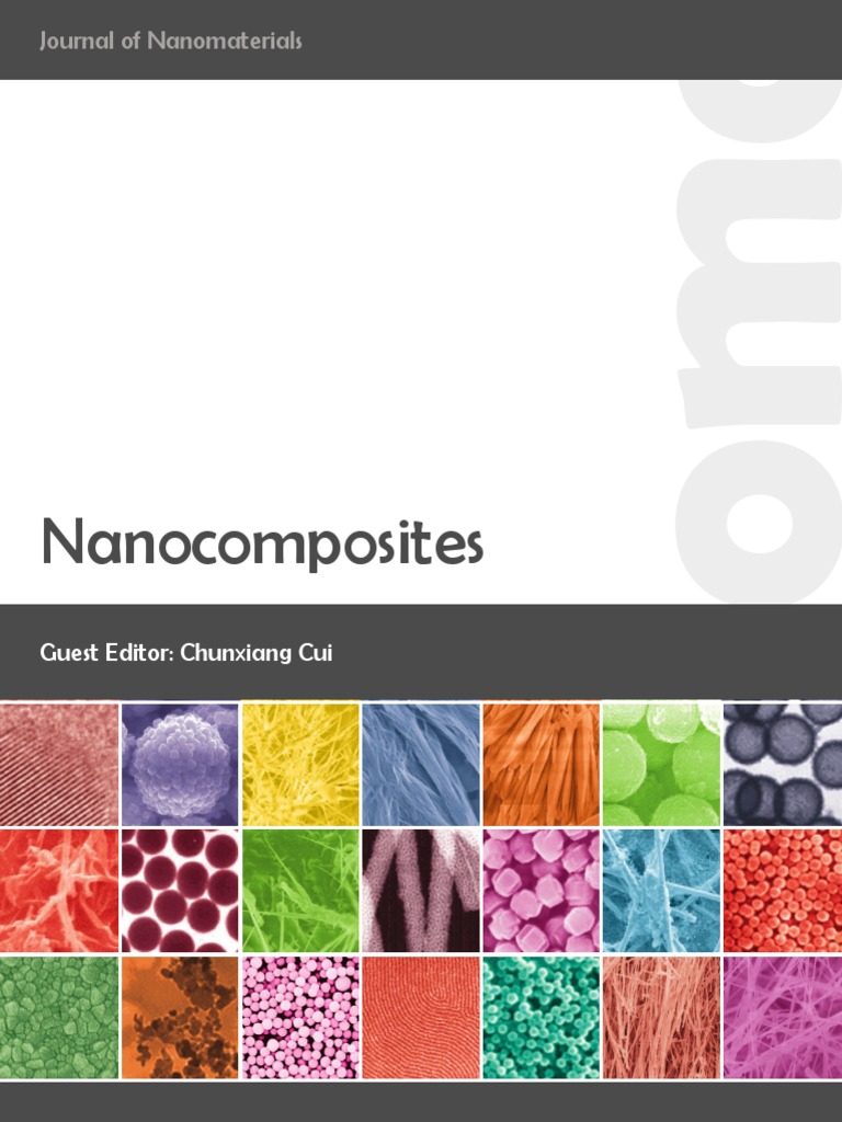 Nanocomposite S | PDF | Nanocomposite | Composite Material