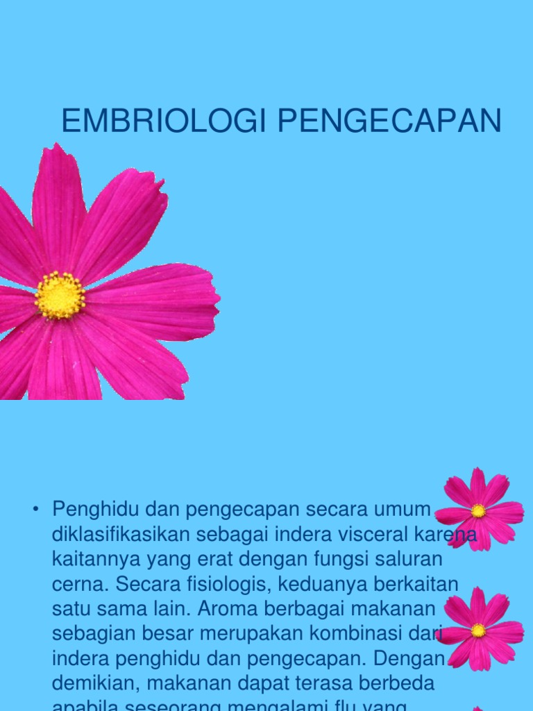 Embriologi Pengecapan DR Emilda | PDF | Kesehatan Holistik