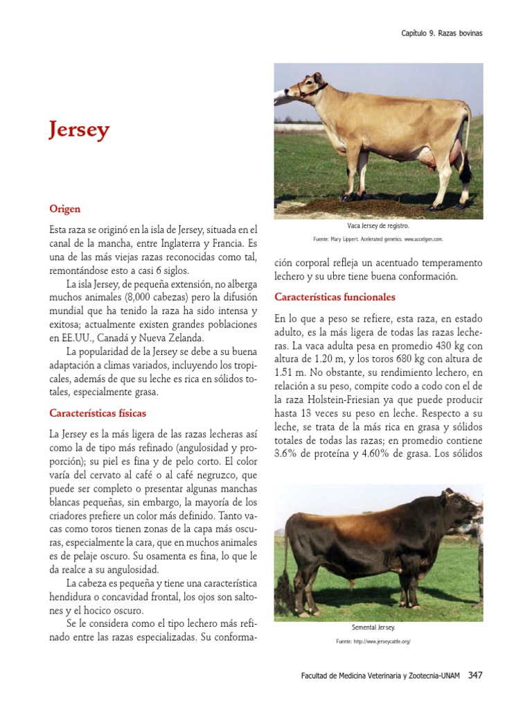 Jersey | PDF