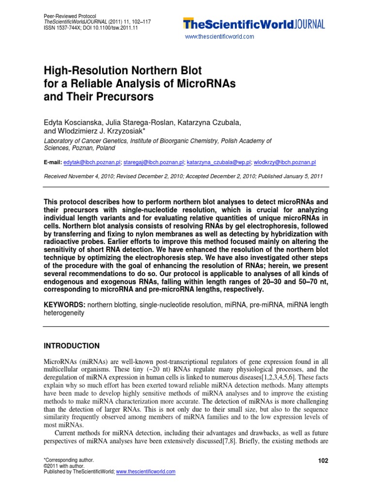 Jurnal Northern Blot | PDF | Northern Blot | Gel Electrophoresis
