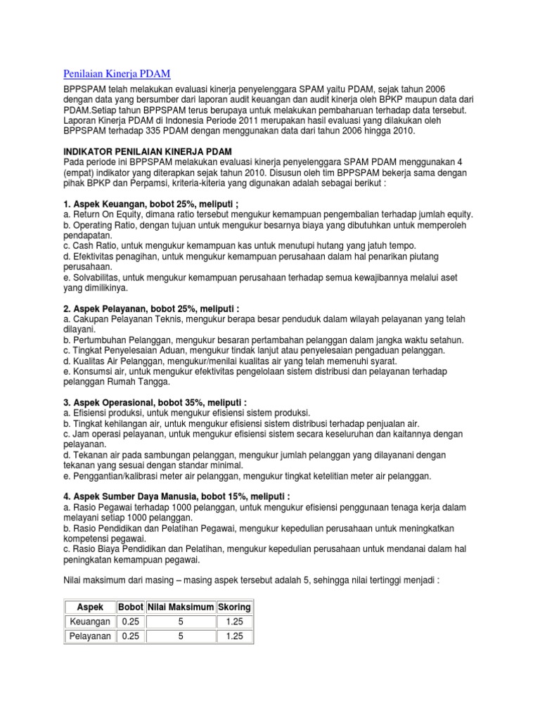 Penilaian Kinerja PDAM | PDF