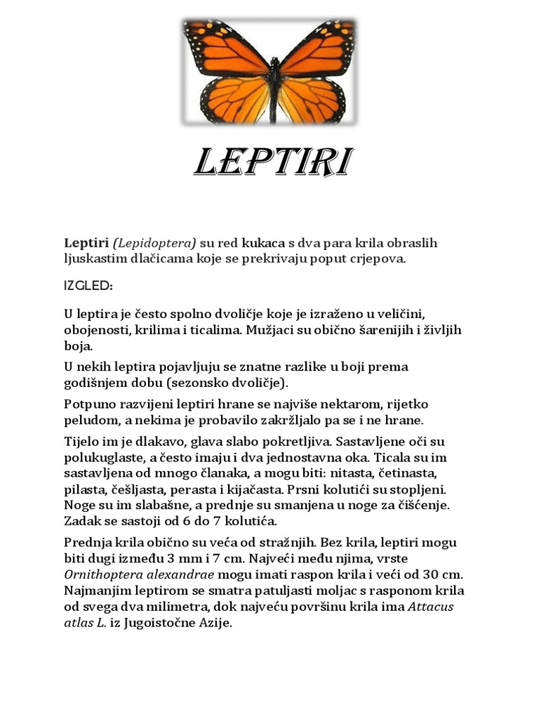 LEPTIRI | PDF