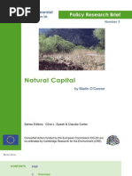 Subsequent Debit Credit Credit Memo | PDF | Receipt | Invoice