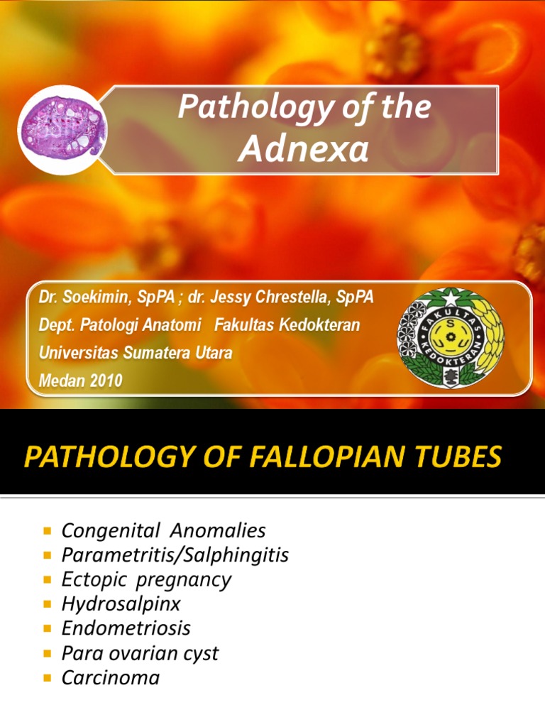 Pathology of The Adnexa | PDF | Ovarian Cancer | Neoplasms