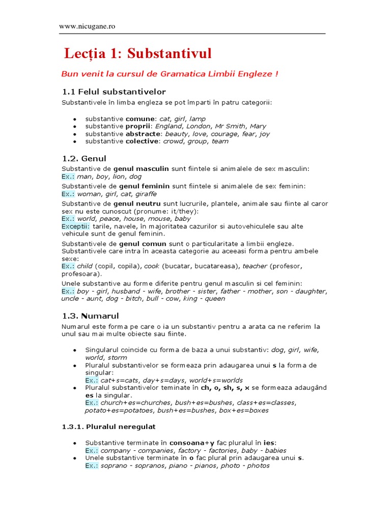 Gramatica Limba Engleza | PDF