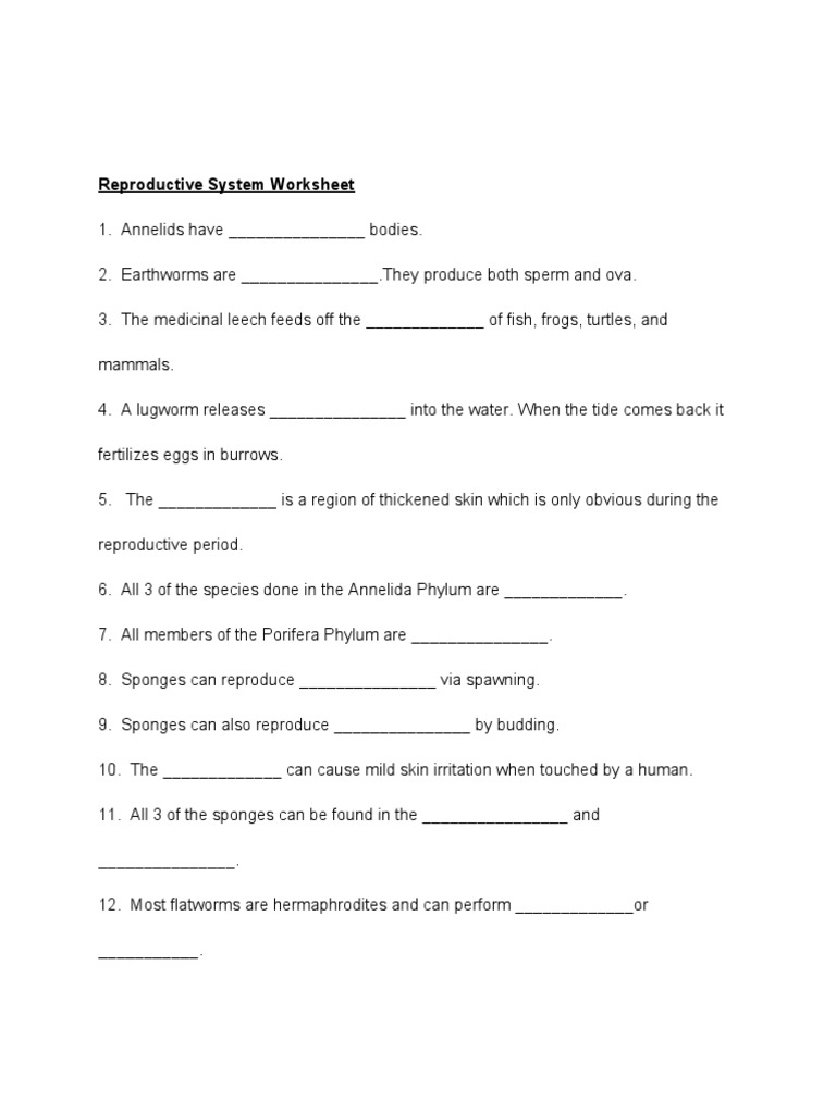 Reproductive System Worksheet PDF Reproduction Biological