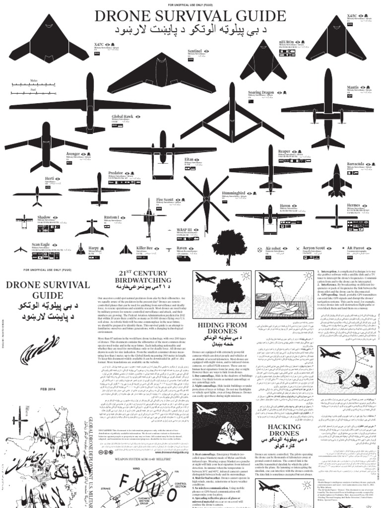 Drone Survival Guide | PDF