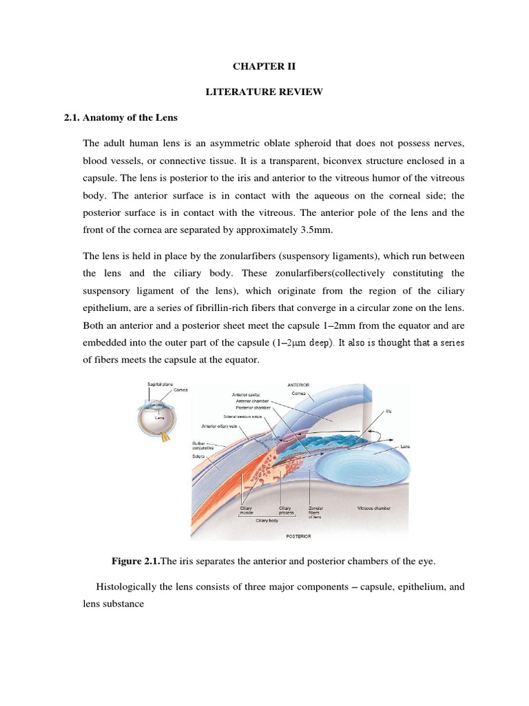Literature Review 2.1. Anatomy of The Lens | PDF | Cataract | Cornea