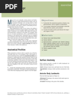 Muscle OIA | PDF | Vertebral Column | Vertebra